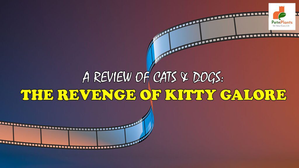 A REVIEW OF CATS & DOGS: THE REVENGE OF KITTY GALORE - Pet N Plants