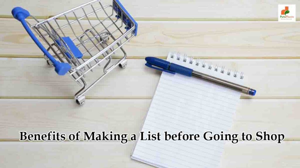Benefits of Making a List before Going to Shop - Pet N Plants