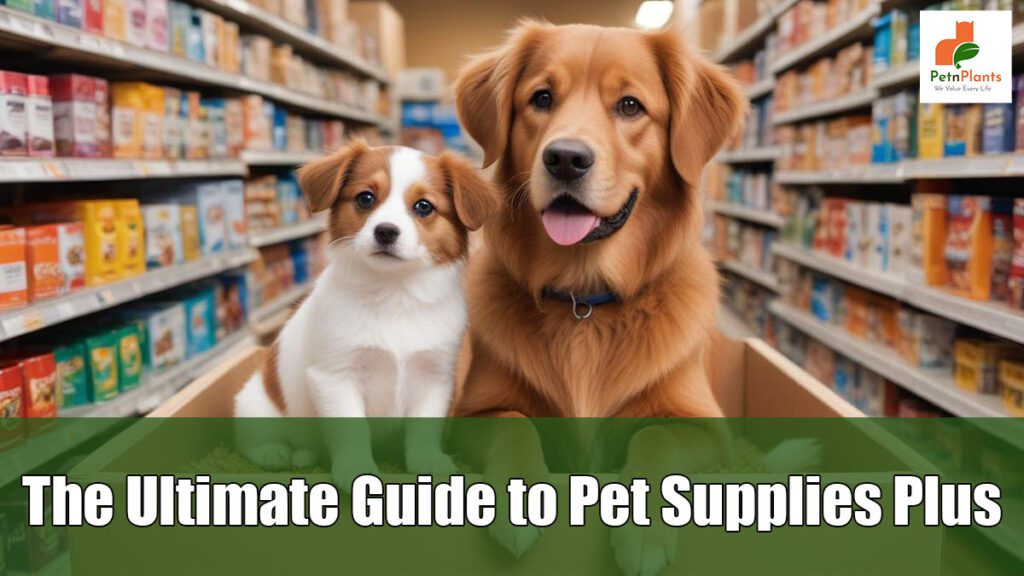 The Ultimate Guide to Pet Supplies Plus - Pet N Plants
